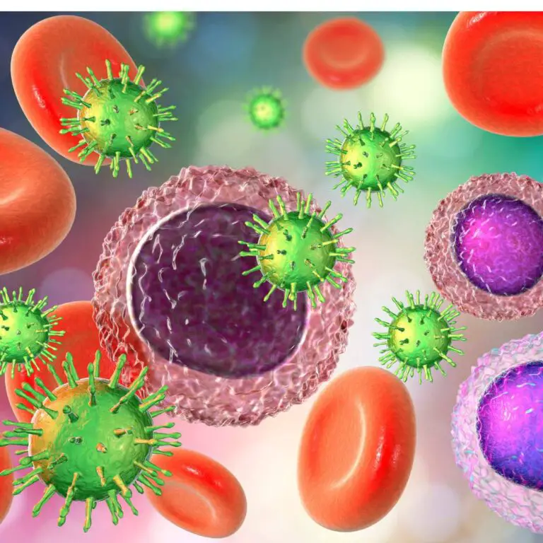 16 Health Benefits of Sea Moss, Bladderwrack, Burdock Root